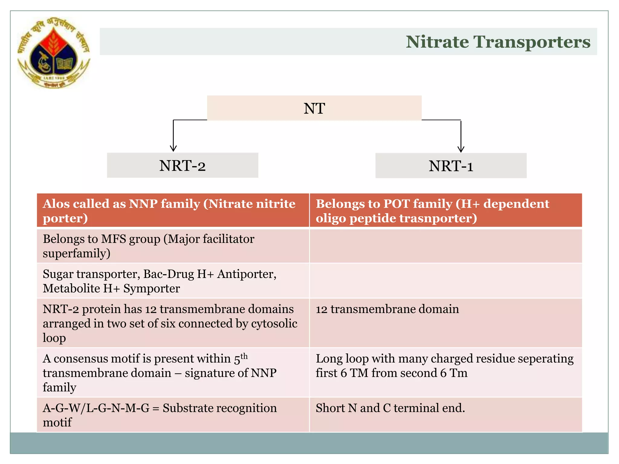 Carbon and Nitrogen Metabolism-Lecture-1 (2).pptx