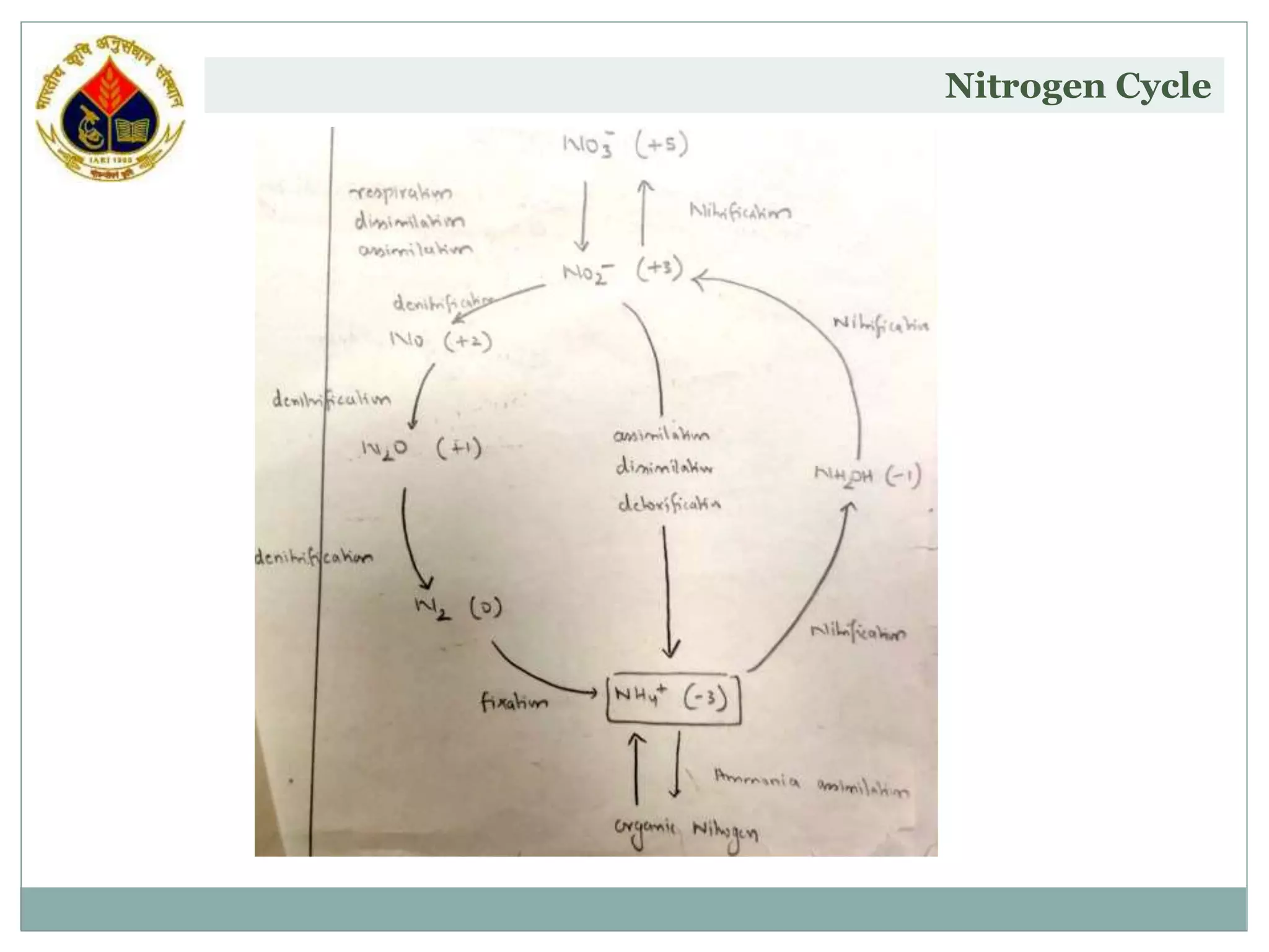 Carbon and Nitrogen Metabolism-Lecture-1 (2).pptx