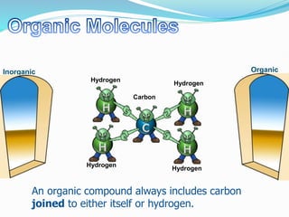 Carbon_and_Organic_compounds in everyday lifepptx | PPTX