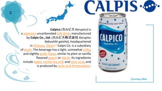 Carbonated dairy beverage | PPSX