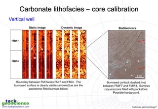 Carbonate lithofacies.ppt