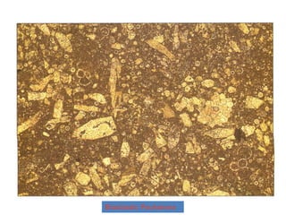 Carbonate Reservoir.pdf