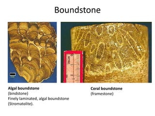 Carbonate Reservoir.pdf