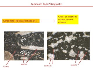 Carbonate Reservoir.pdf