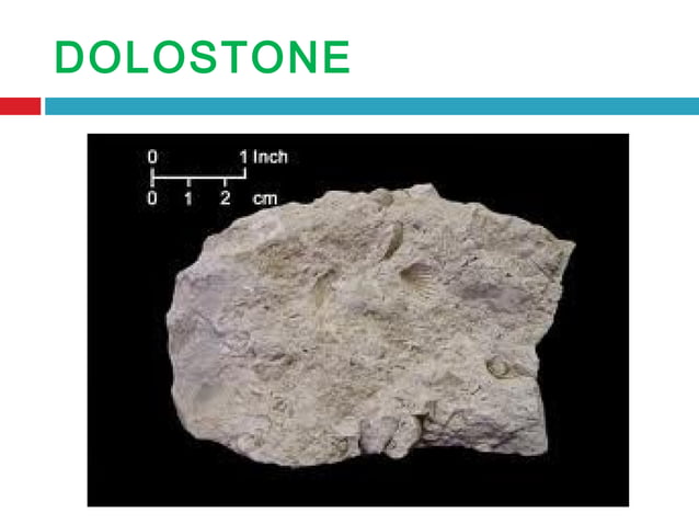 Carbonate rocks | PPT | Geology | Science
