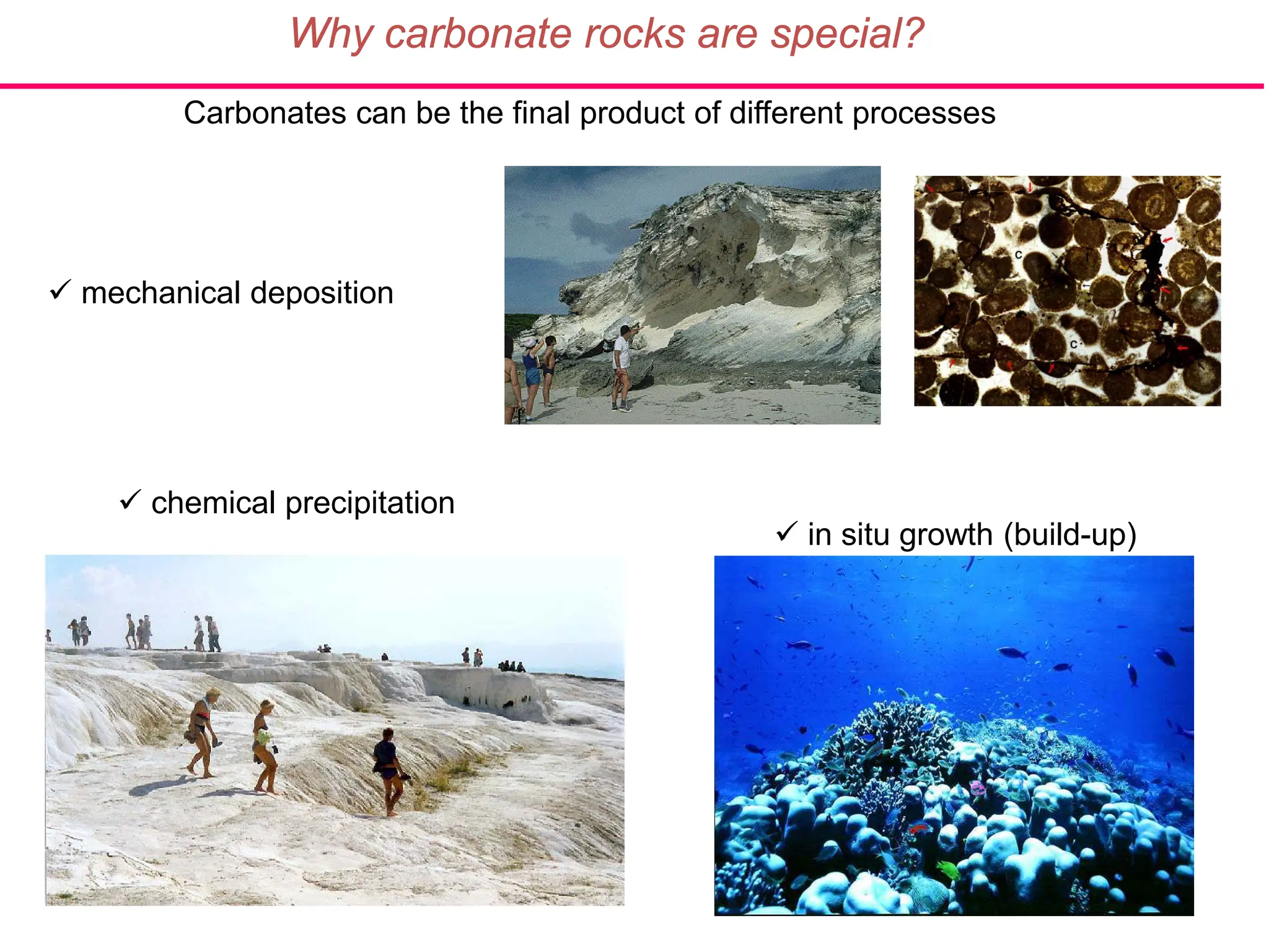 Carbonate rocks origin, nature, occurrences, classification and ...
