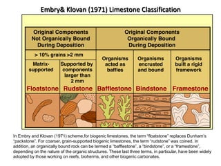 Carbonate rocks origin, nature, occurrences, classification and ...