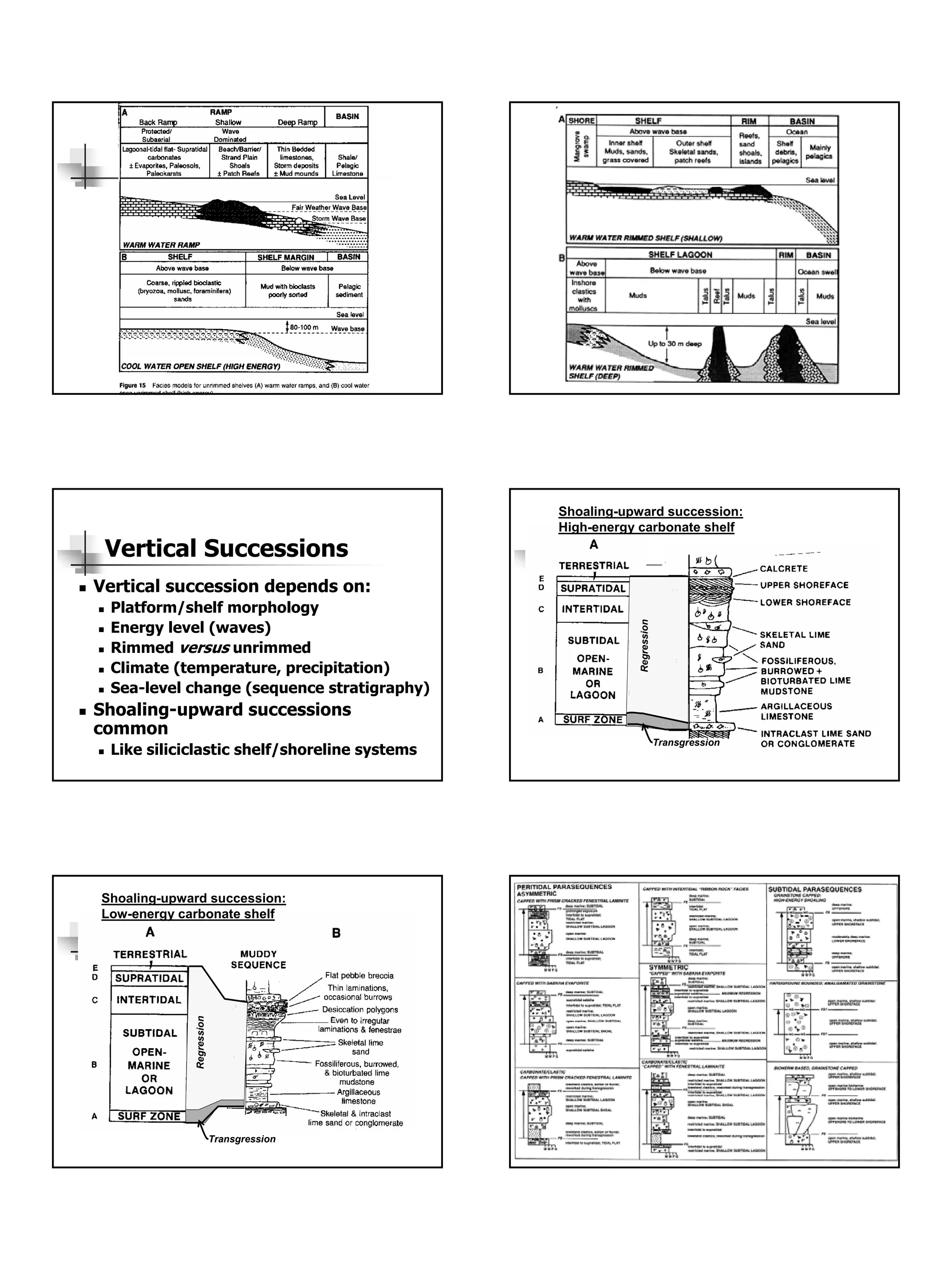 Carbonates ppt | PDF