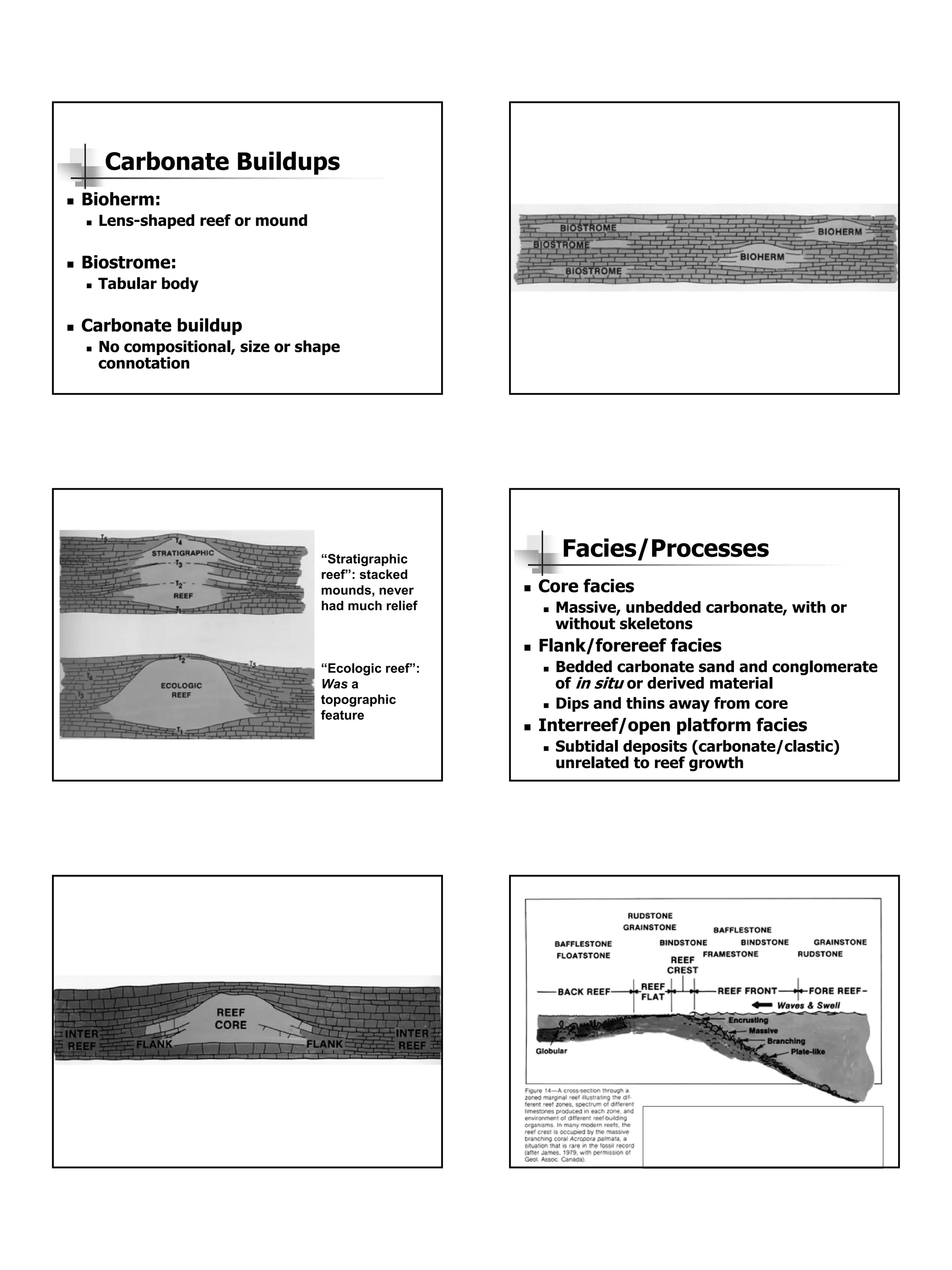 Carbonates ppt | PDF