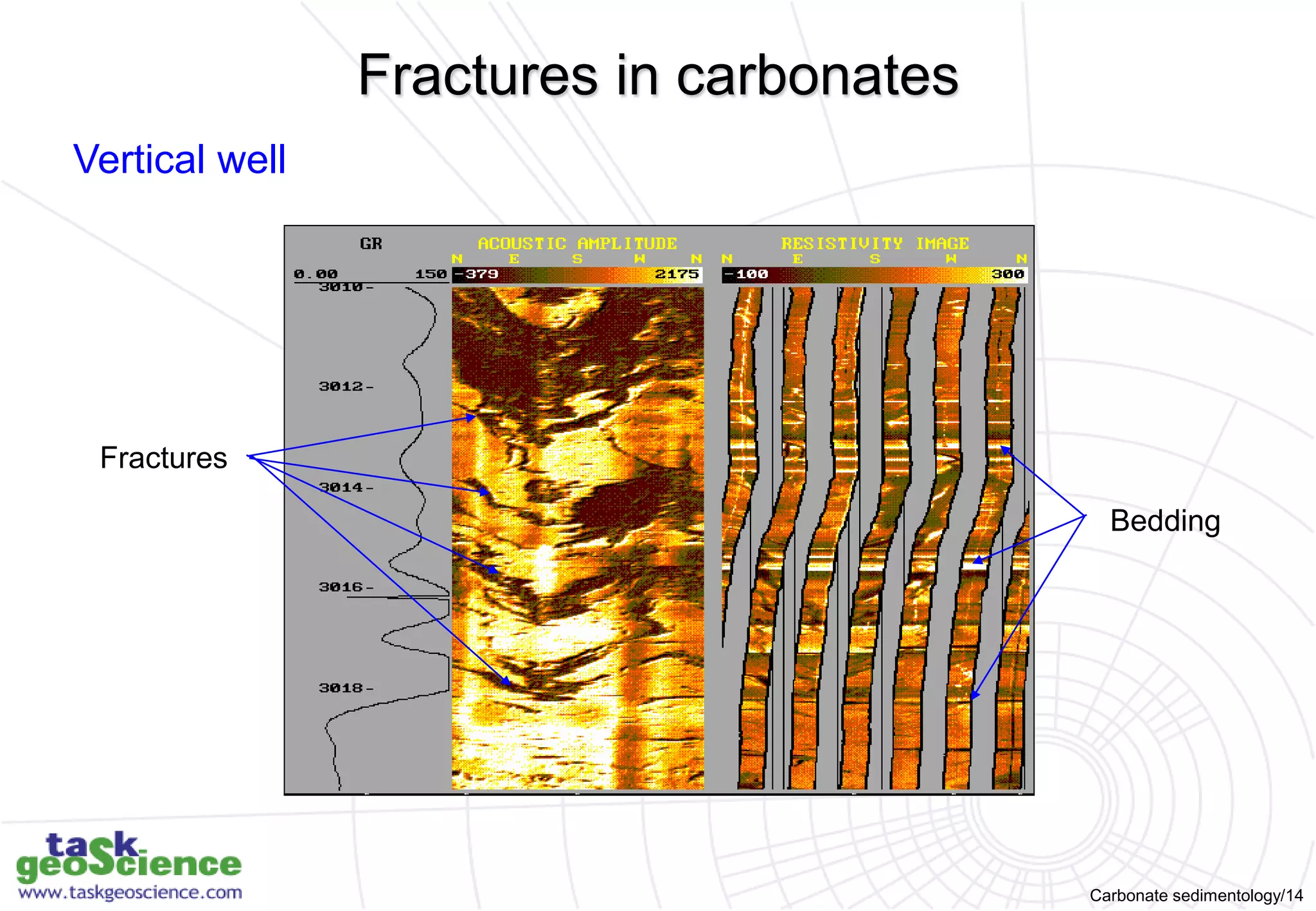 Carbonates versus clastics.ppt