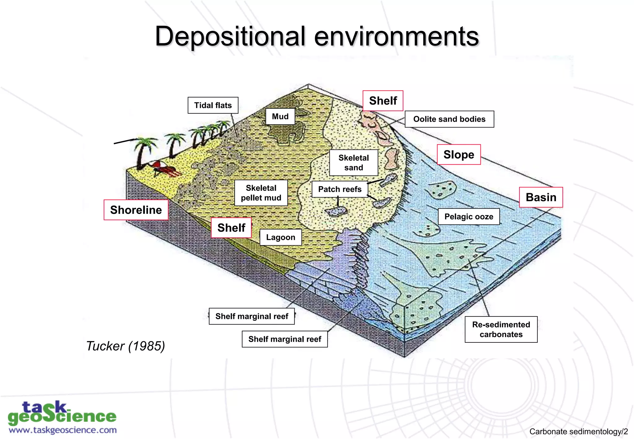 Carbonates versus clastics.ppt