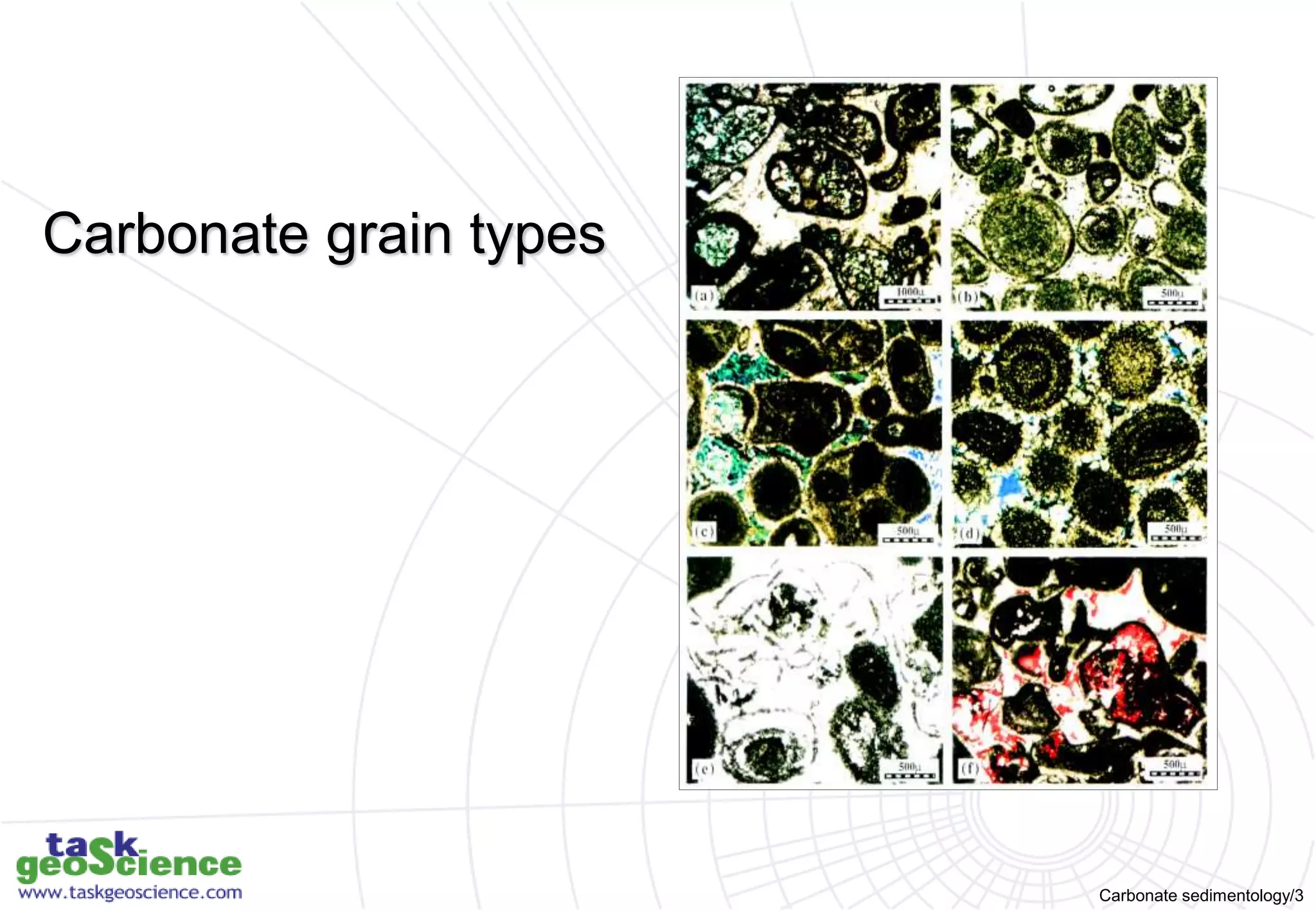 Carbonates versus clastics.ppt