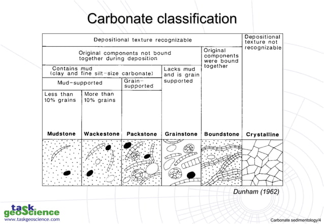 Carbonates versus clastics.ppt | Geology | Science