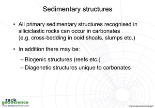 Carbonates versus clastics.ppt