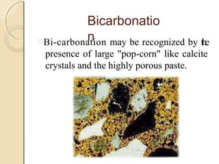 carbonation-181211172440.pptx