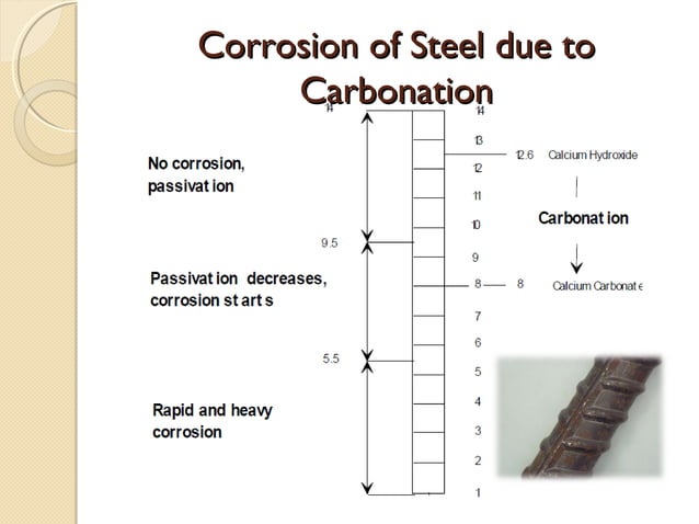 Carbonation | PPT | Chemistry | Science