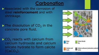 Carbonation Of Concrete