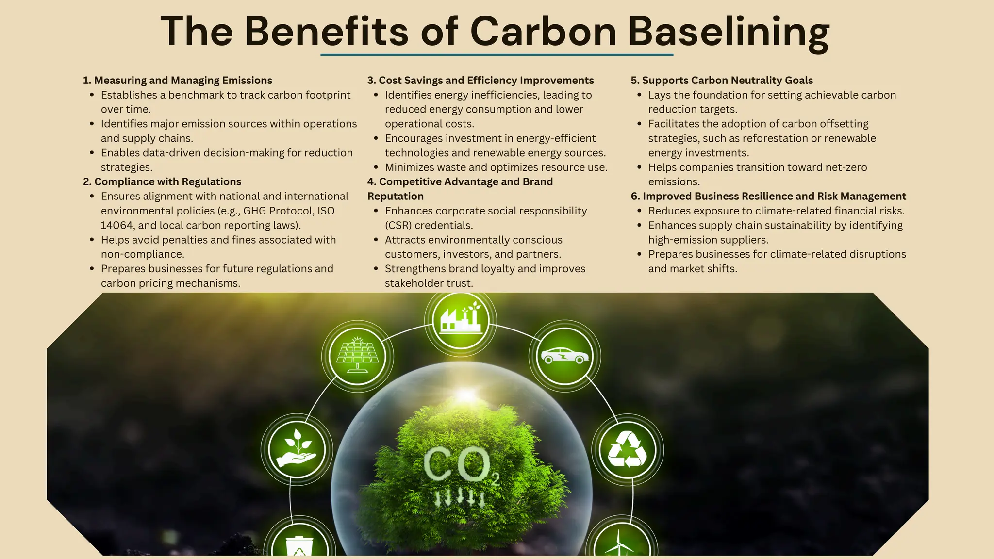 Carbon Baselining, The benefits Carbon Neutral Group.pdf
