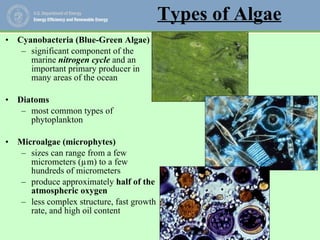 Carbon Capture And Grow Cc Sus Conf. | PPT