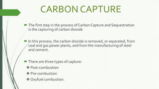 Carbon capture and sequestration | PPTX