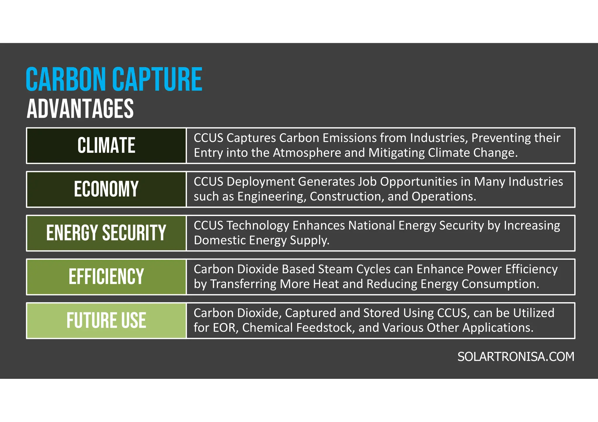 Carbon Capture and Storage | PDF