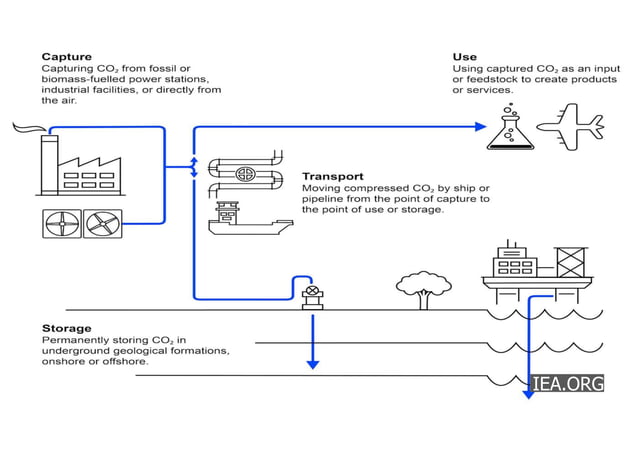 Carbon Capture and Storage (CCS) | PDF