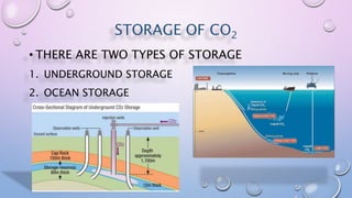 Carbon capture & storage | PPTX