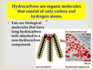 Carbon compounds (ppt) | PPT
