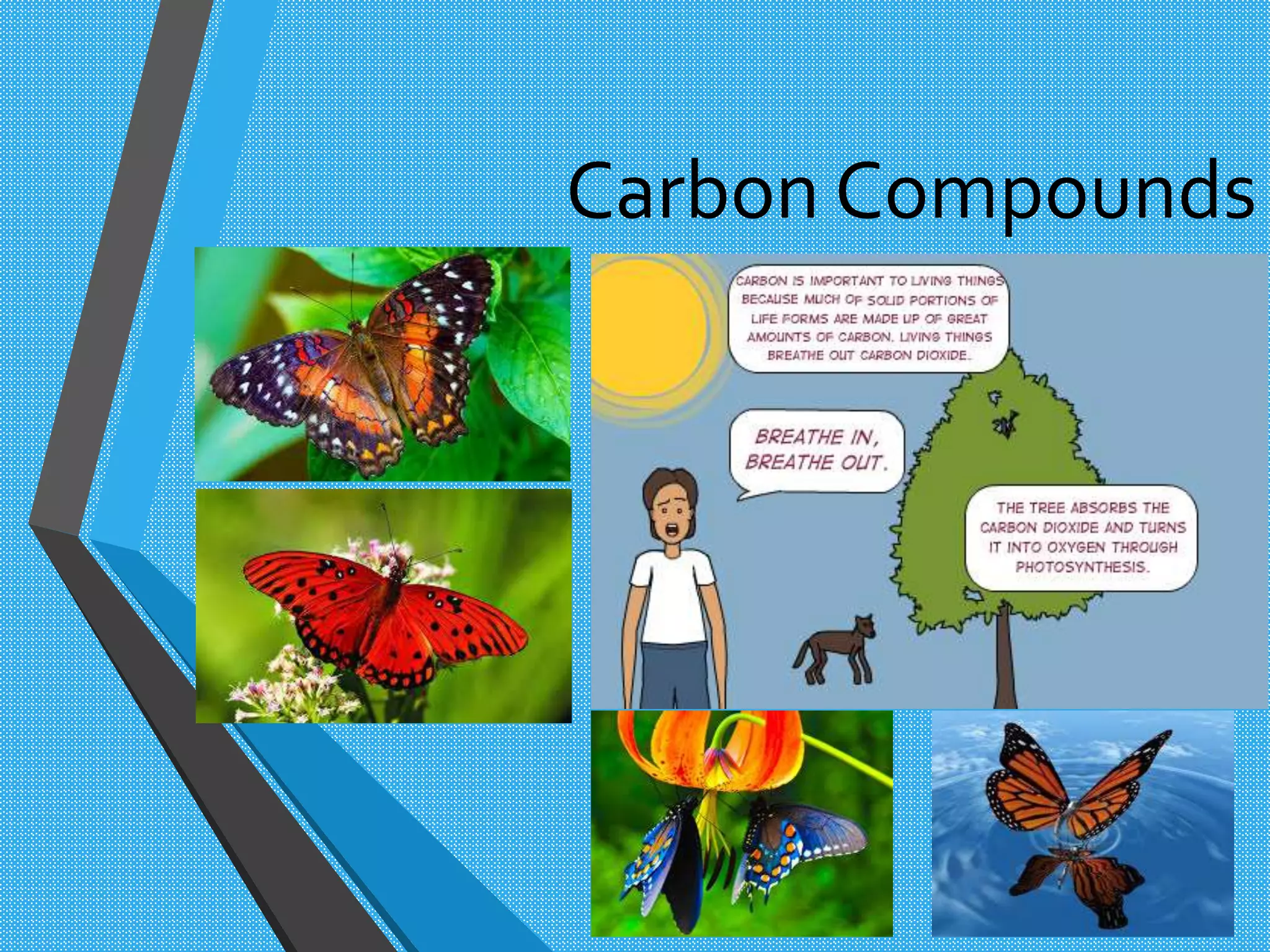 CARBON COMPOUNDS SCIENCE 9 | PPT
