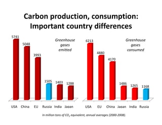Carbon consumption: Which footprint to measure | PDF