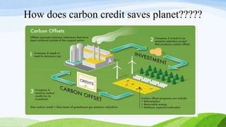 Carbon credit | PPTX