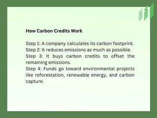 Carbon Credits A Path to a Sustainable Future.pdf