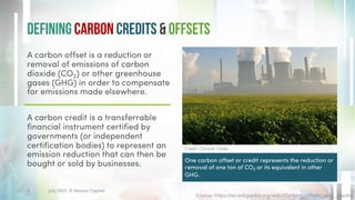 Carbon Credits & Carbon Offsets | PDF
