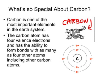 Carbon cycle | PPT