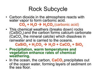 Carbon Cycle | PPT
