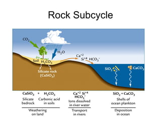 Carbon Cycle | PPT