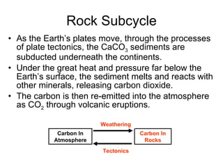 Carbon Cycle | PPT