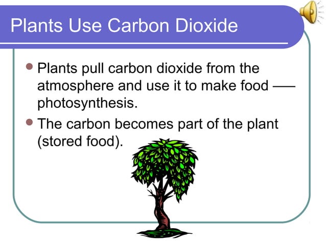 Carbon cycle (ANIMATED) | PPT