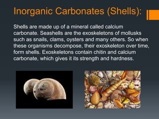 Carbon Cycle | PPTX