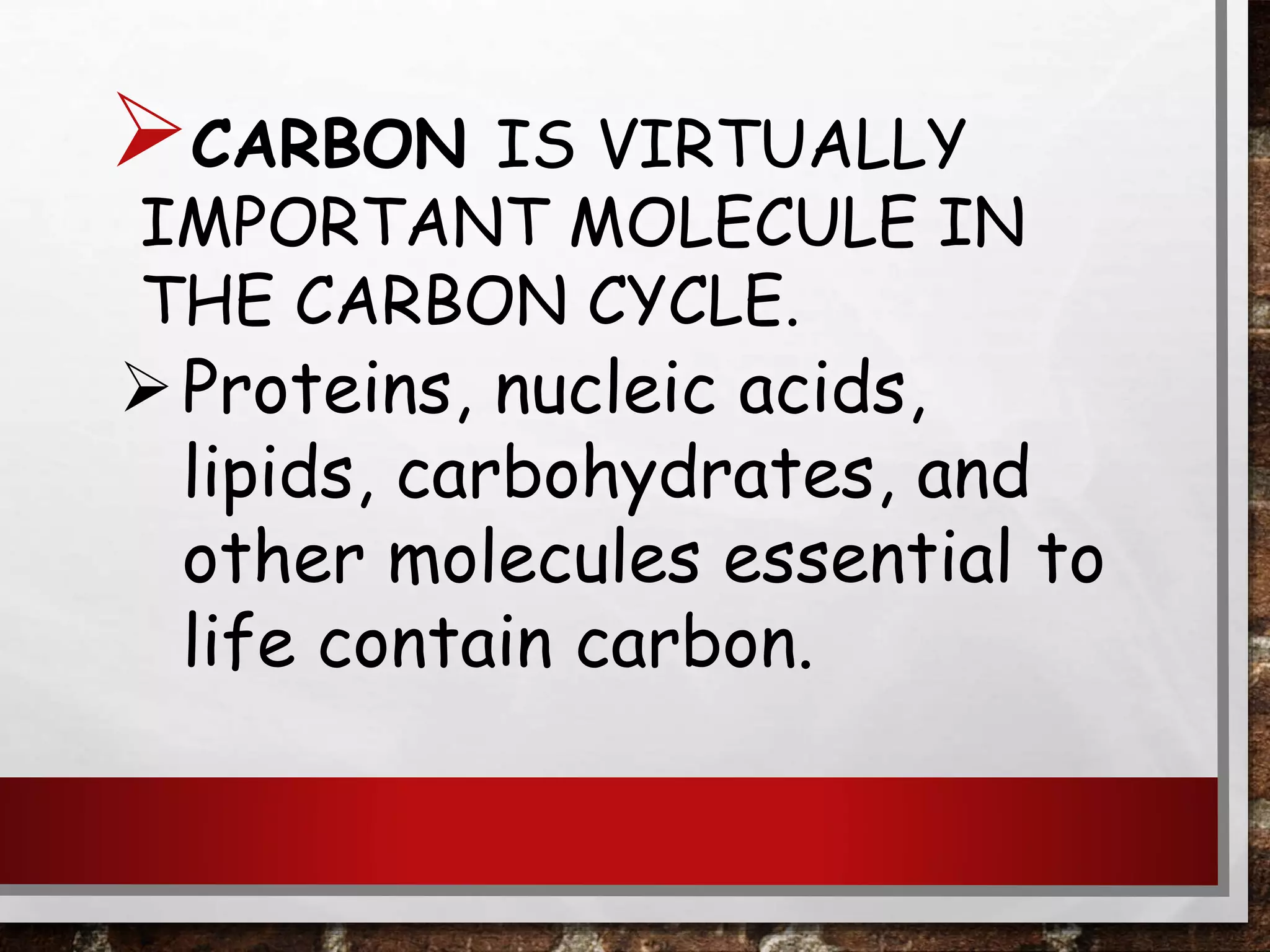 Carboncycle | PPTX