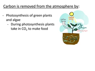 Carbon cycle | PPTX