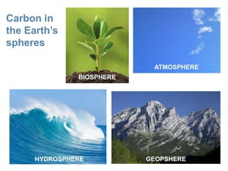 Carbon cycle | PPTX