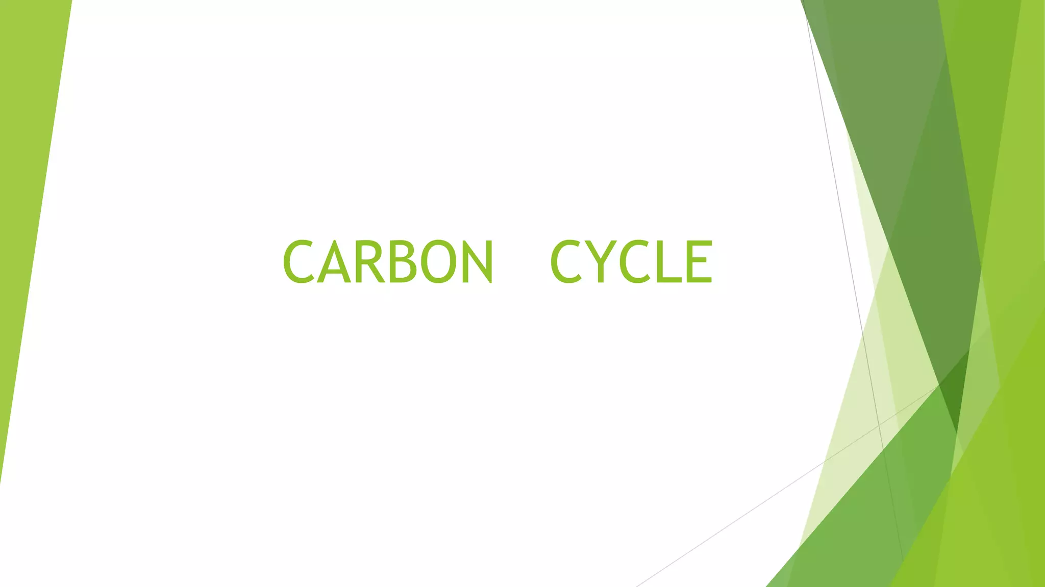 Carbon cycle ppt | PPTX