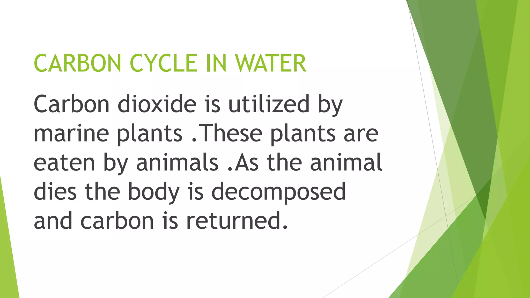 Carbon cycle ppt | PPTX