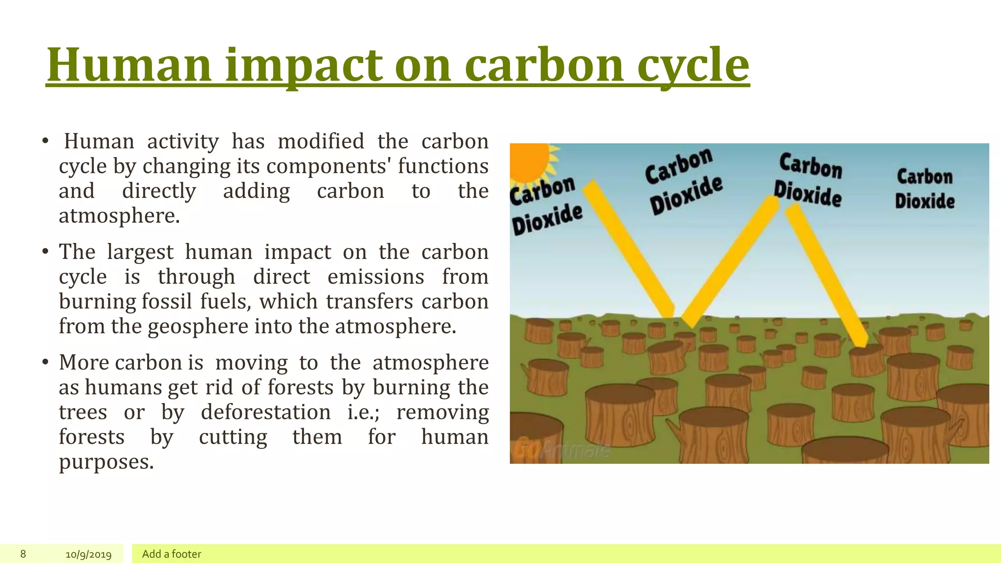 Carbon cycle | PPTX