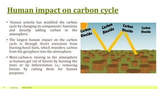 Carbon cycle | PPTX | Geology | Science