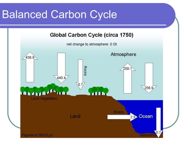 Carbon_Cycle.ppt