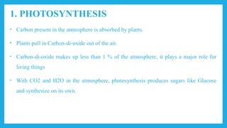 Biogeo chemical cycle...(Carbon cycle).pptx