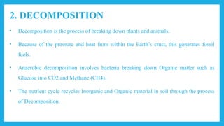 Biogeo chemical cycle...(Carbon cycle).pptx