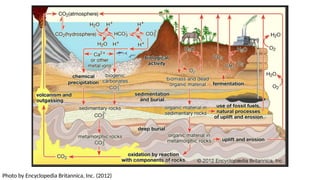 The Carbon Cycle Systems of Planet Earth | PPTX